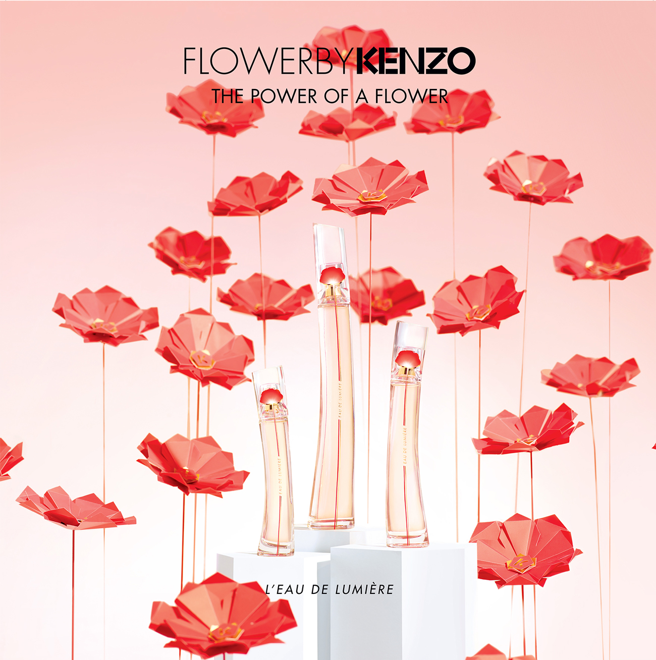 Kenzo - studio maud vantours